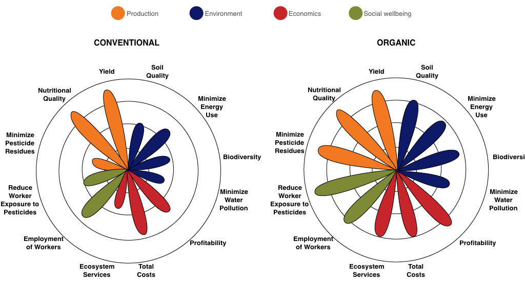 Strengthening Global Food Security With Organic Farming Primal Group